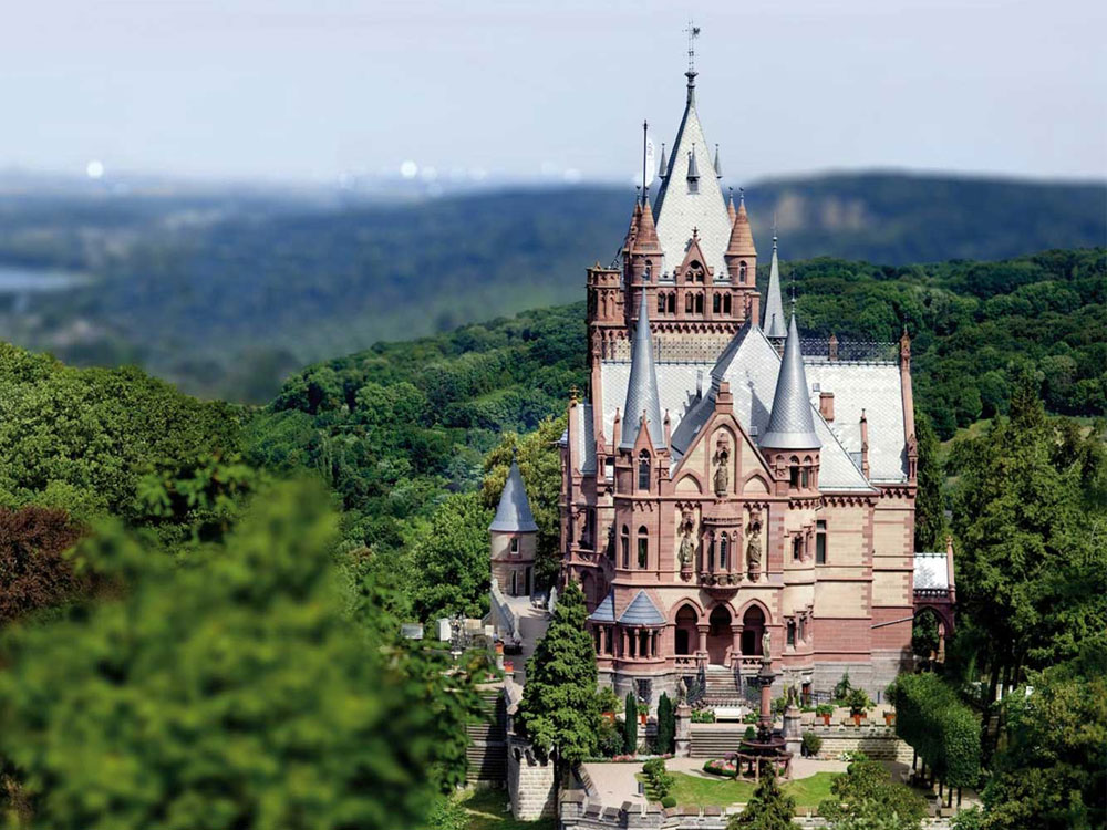 Rheintaler - DRACHENBURG CASTLE